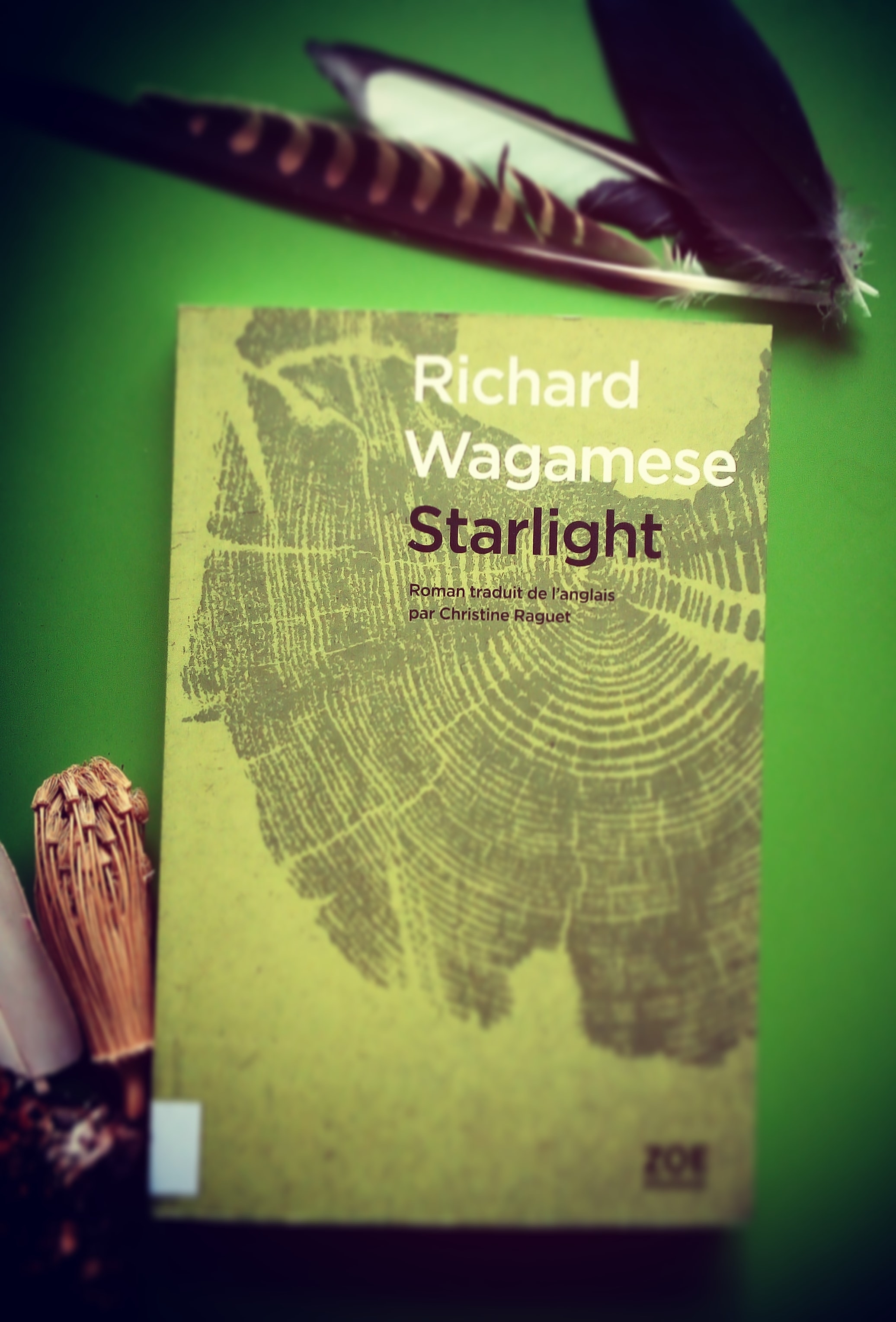 Starlight / Richard Wagamese | Médiathèque du Lycée Jean-Piaget